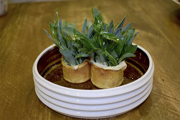 Dama Juana | Gastronosfera
