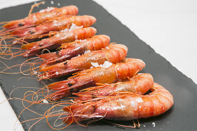 Gamba de la costa | Gastronosfera