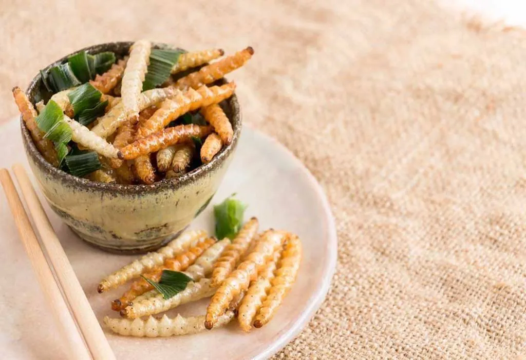 Comer insectos: guía para novatos y 4 recetas | Gastronosfera